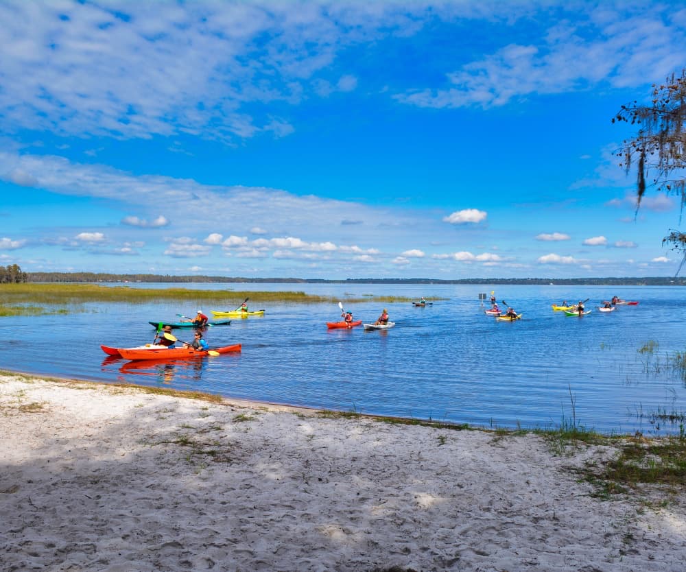 Florida State Parks Near Orlando: Escape to Nature